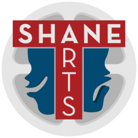 Creative Development at Shane Arts | Build, Brand & Perform
